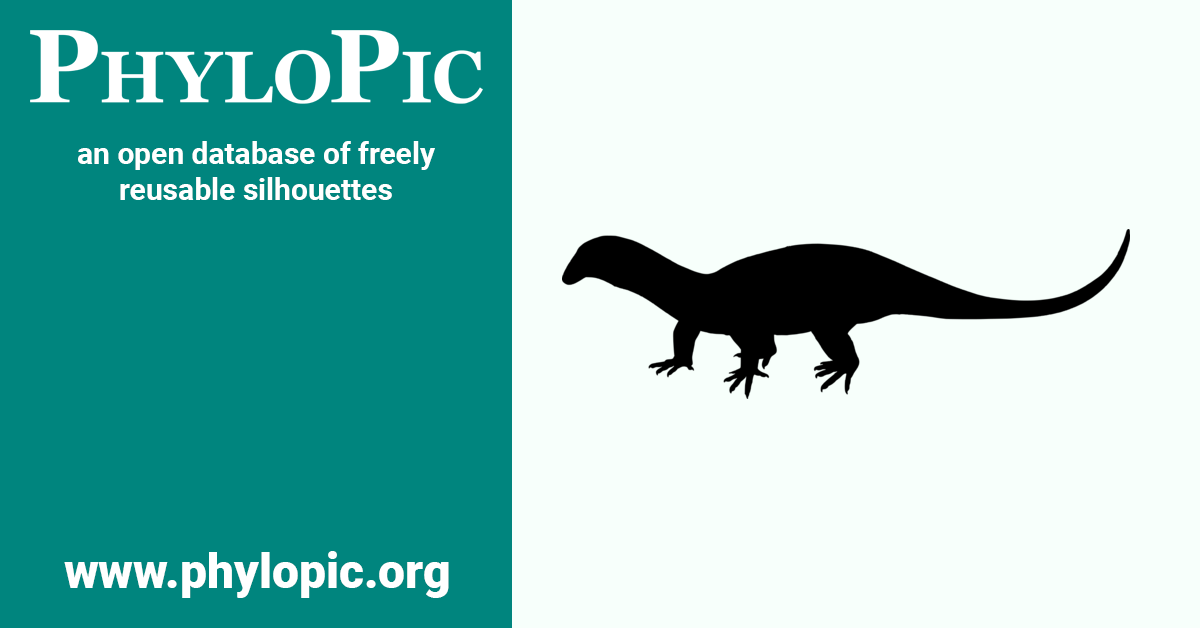 Protorosaurus speneri by SeismicShrimp (CC BY 4.0) - PhyloPic