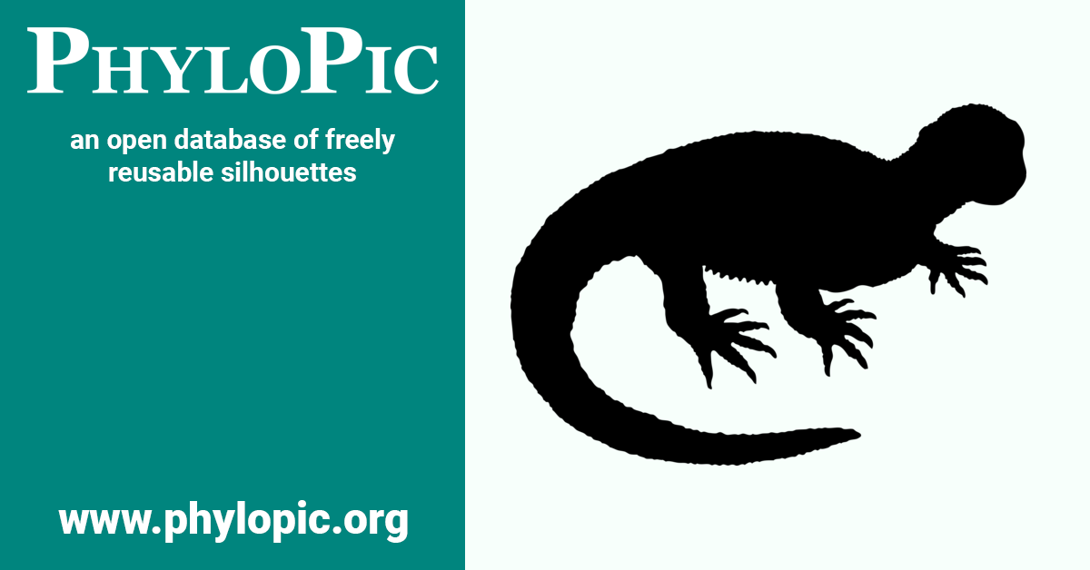 Pappochelys rosinae by Rainer Schoch (CC BY-SA 3.0) - PhyloPic