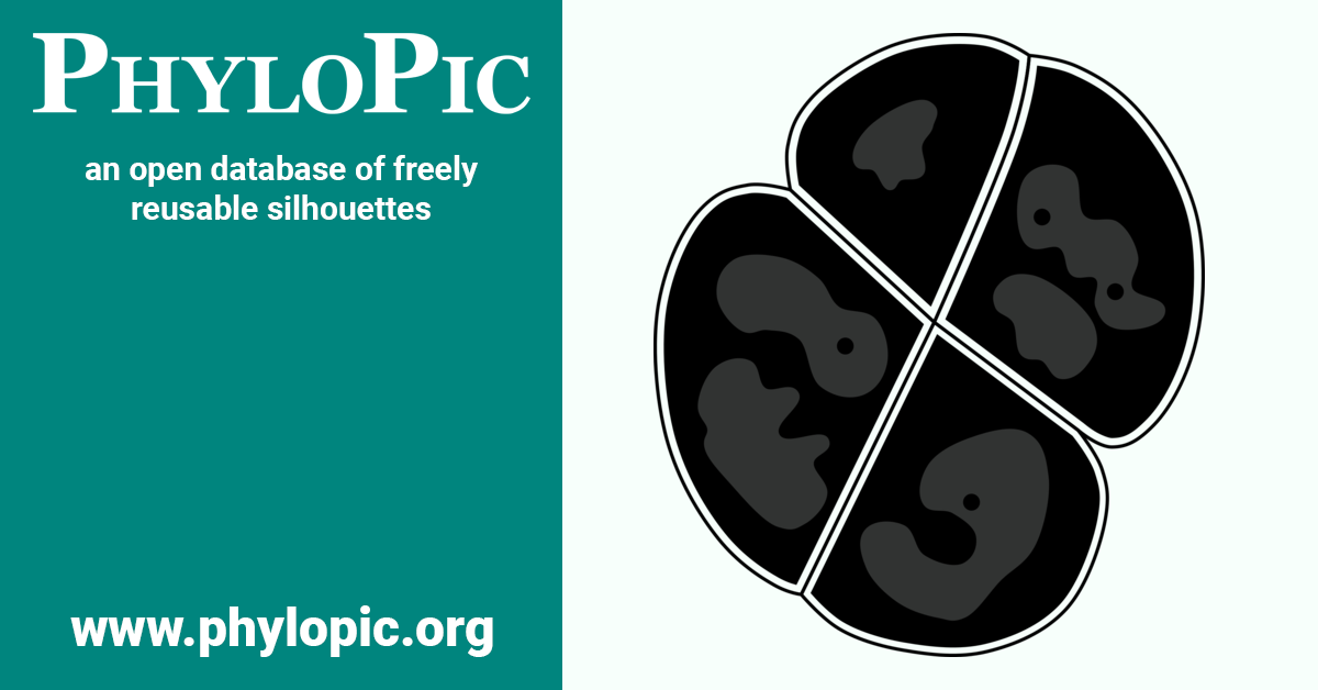 Deinococcus radiodurans by Matt Crook (CC BY-SA 3.0) - PhyloPic