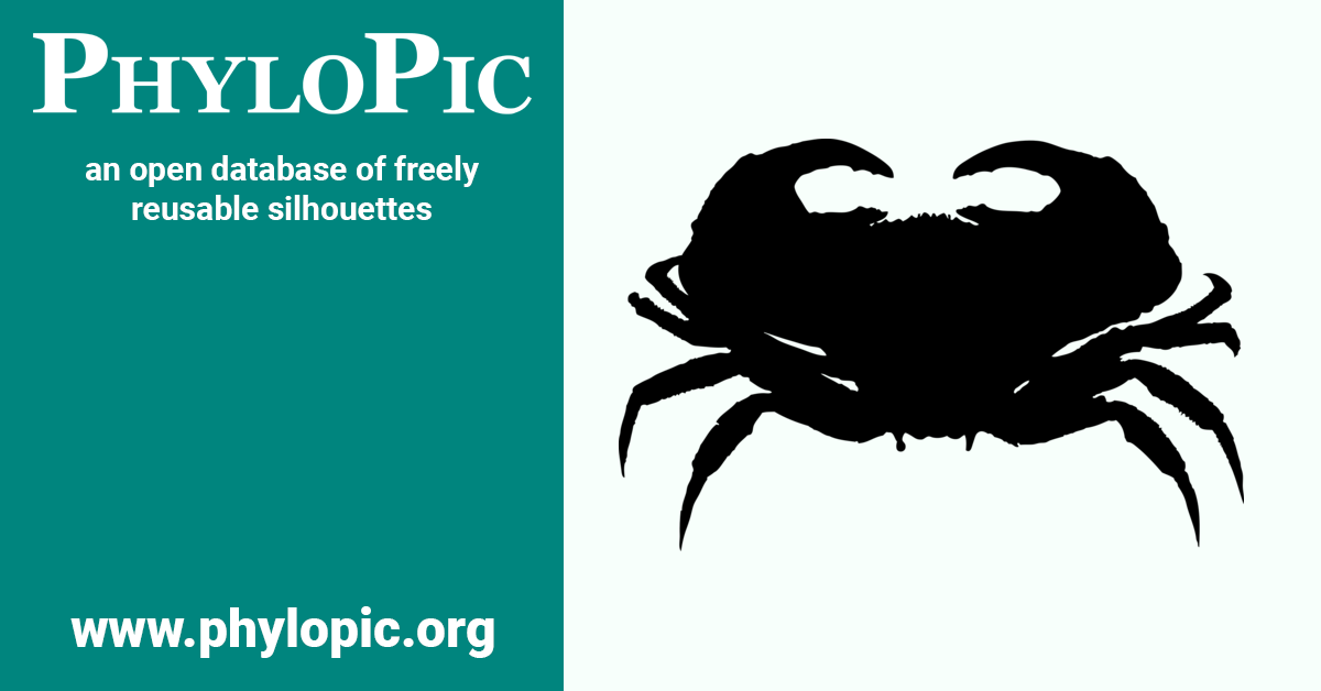 Cancer bellianus by Jebulon (vectorized by T. Michael Keesey) (PDM 1.0 ...