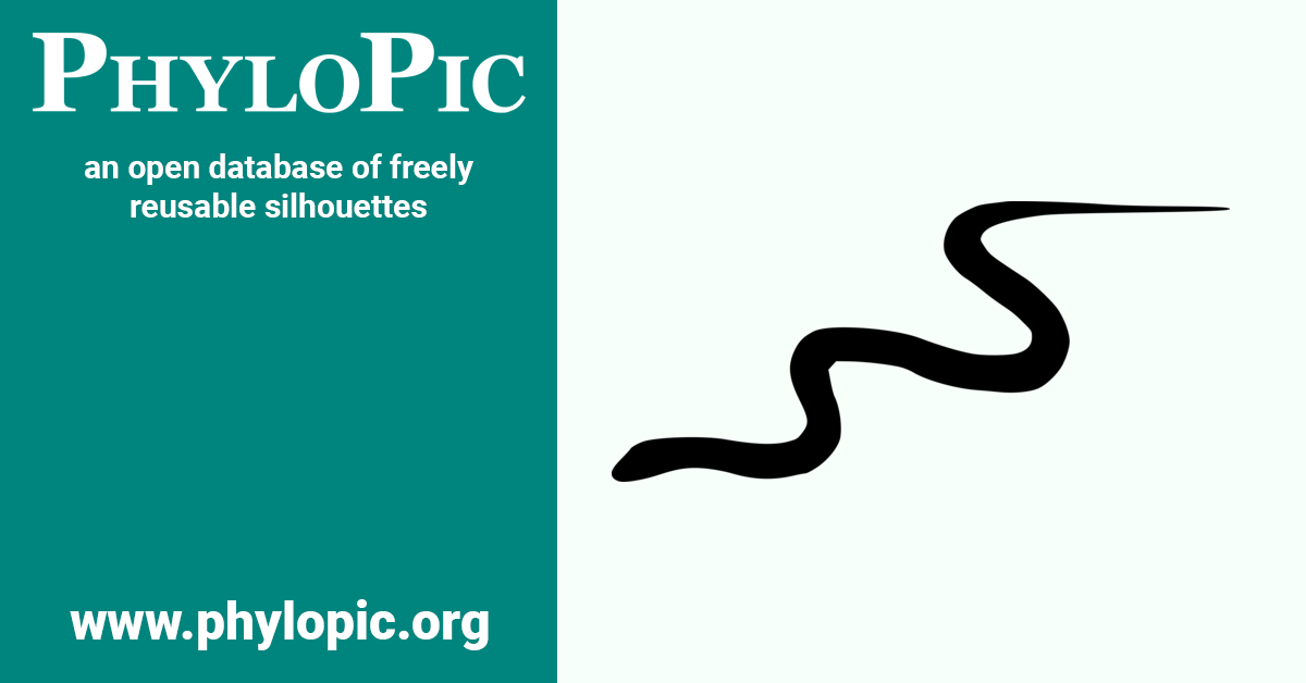 Aistopoda (PDM 1.0) - PhyloPic