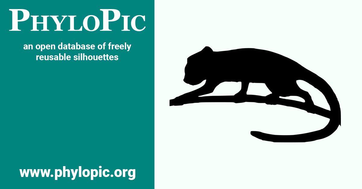 Carpolestes by Mateus Zica (CC BY-SA 3.0) - PhyloPic