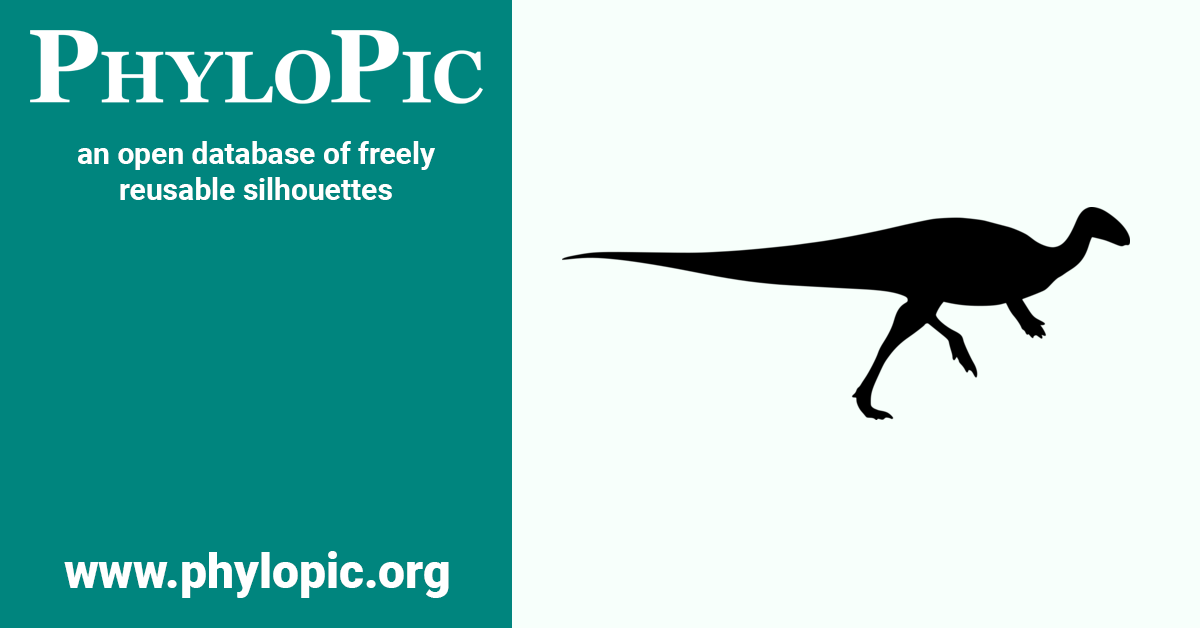 Valdosaurus canaliculatus by Will Toosey (CC BY 4.0) - PhyloPic