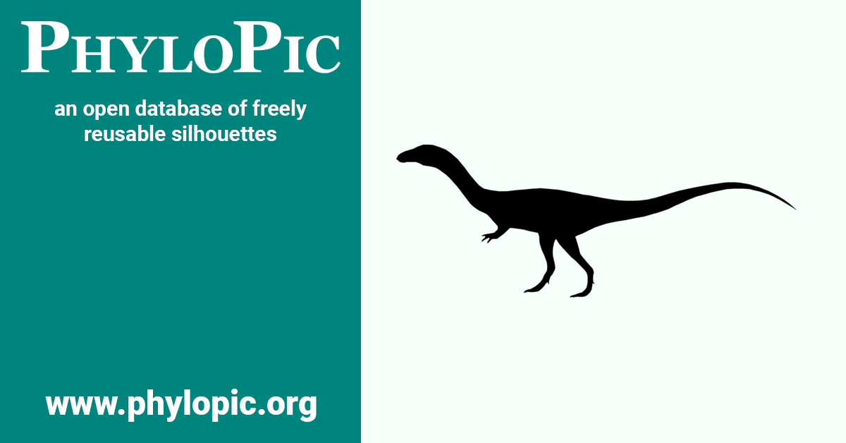 Shuvosaurus inexpectatus by Sarah Werning (CC BY 3.0) - PhyloPic