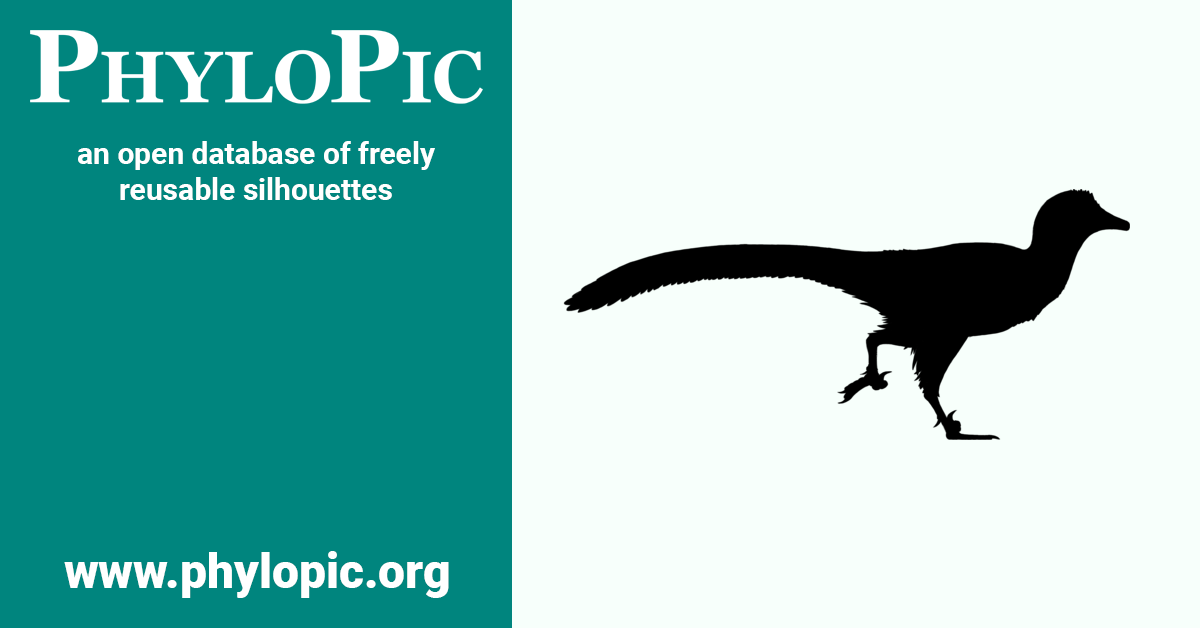 Gobivenator mongoliensis by Tasman Dixon (CC0 1.0) - PhyloPic