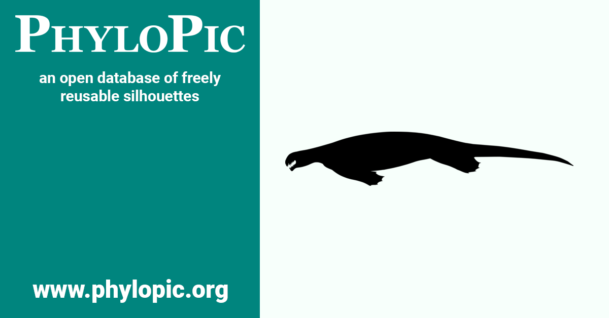 Helveticosaurus zollingeri (CC0 1.0) - PhyloPic