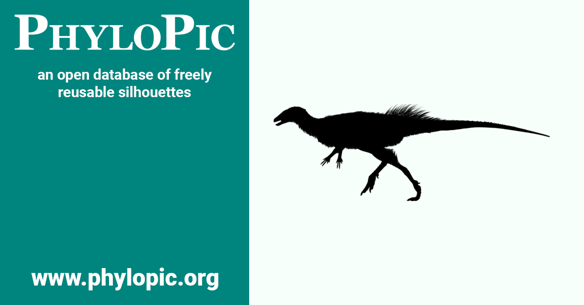 Eocursor parvus by Scott Hartman, modified by T. Michael Keesey (CC BY ...