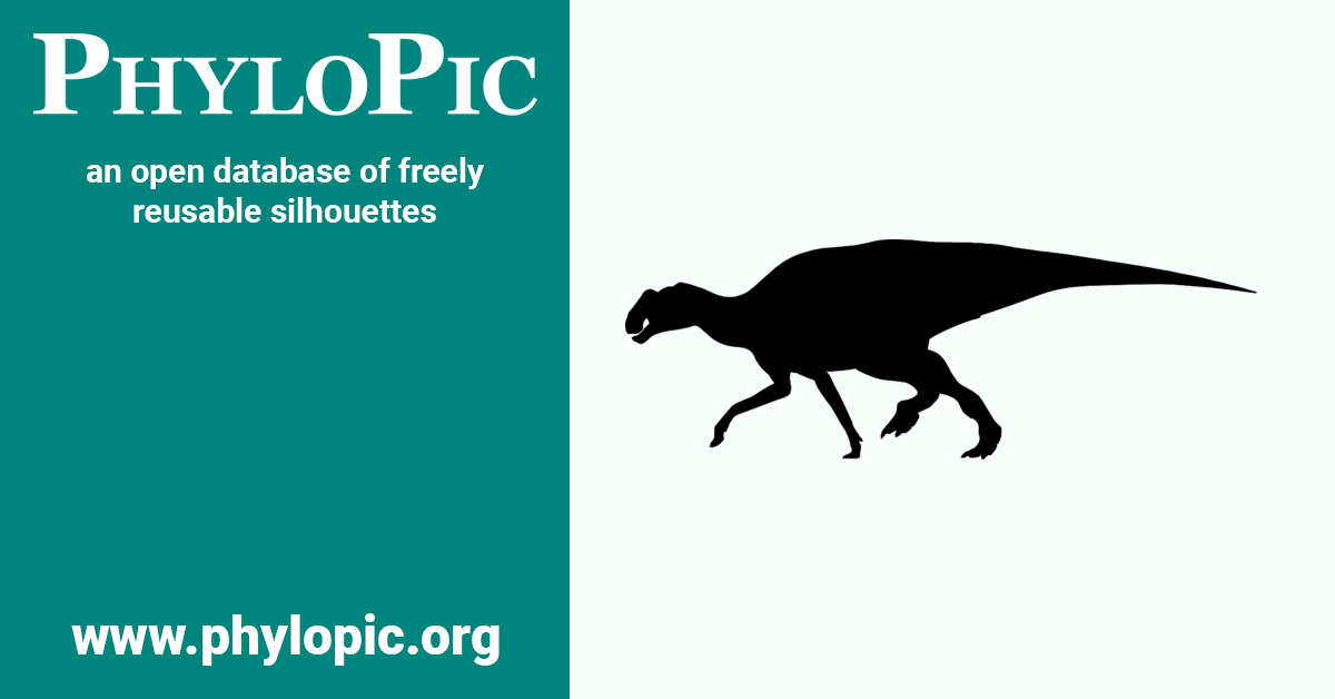 Gryposaurus monumentensis by Scott Hartman (CC BY-NC-SA 3.0) - PhyloPic