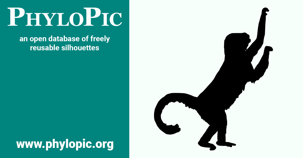 Homunculus patagonicus by Zimices (CC BY-SA 3.0) - PhyloPic