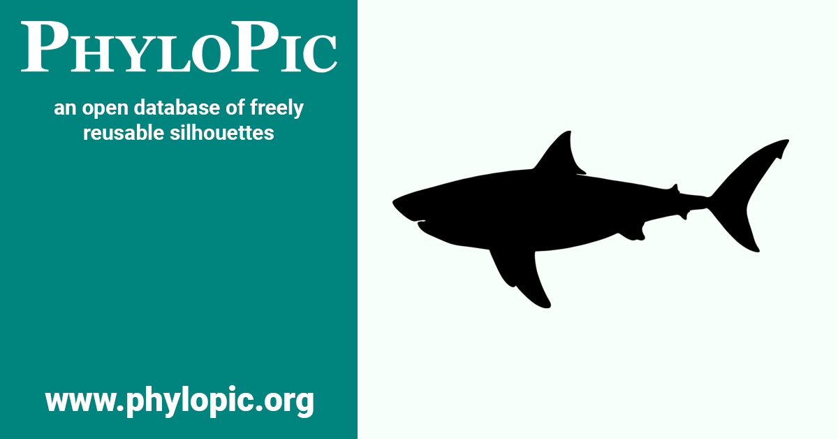 Otodus megalodon by Oliver E. Demuth and Cooper et al. (2020 ...