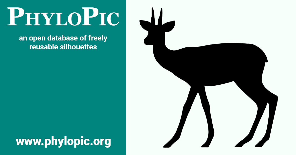 Capromeryx minor by JayMD (CC0 1.0) - PhyloPic