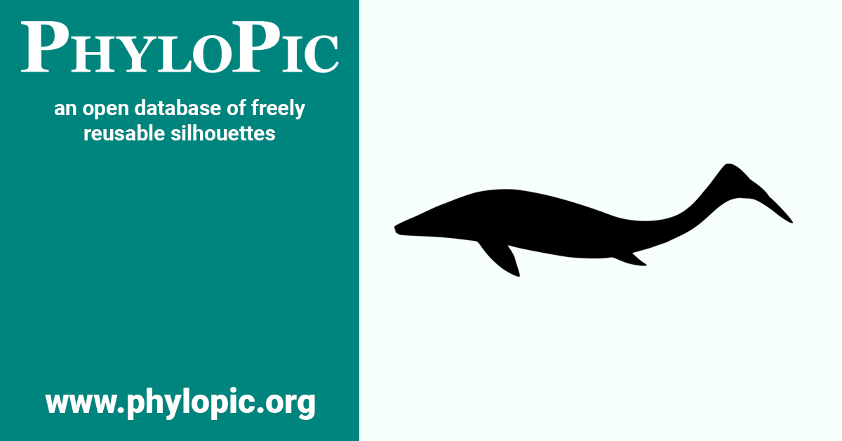 Thalattoarchon saurophagis (CC0 1.0) - PhyloPic