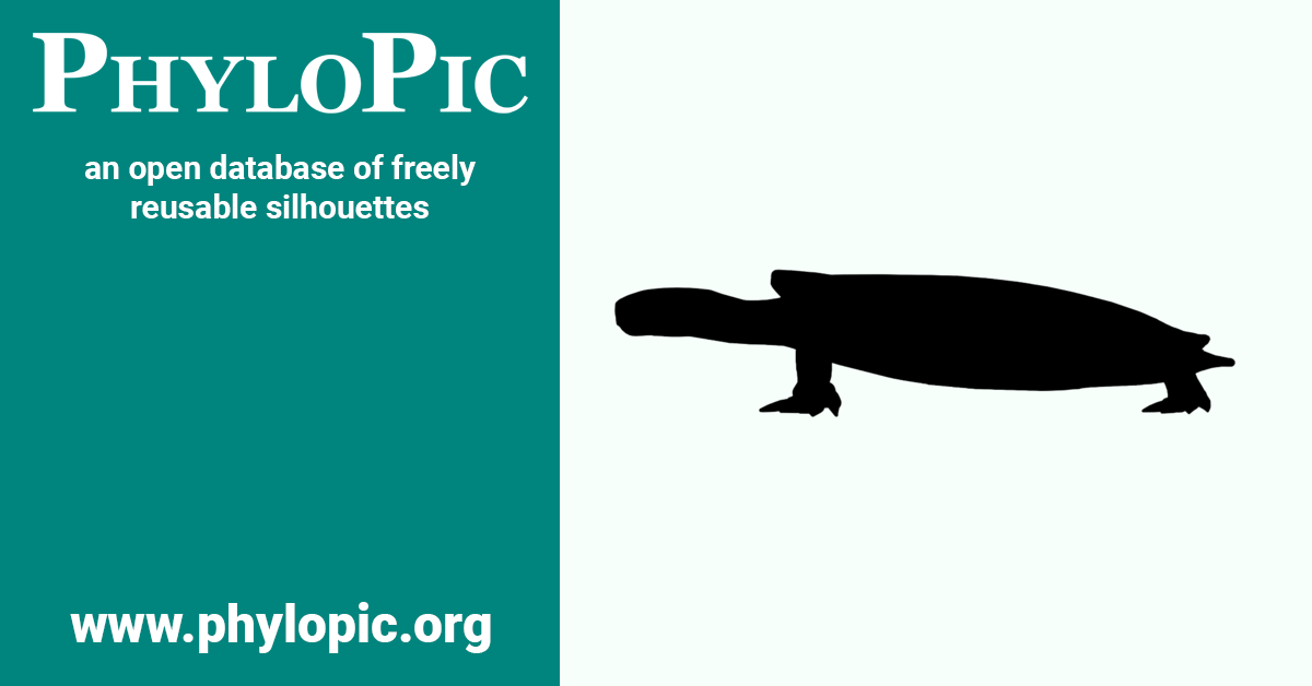 Basilemys by Scott Hartman (CC BY-NC 3.0) - PhyloPic