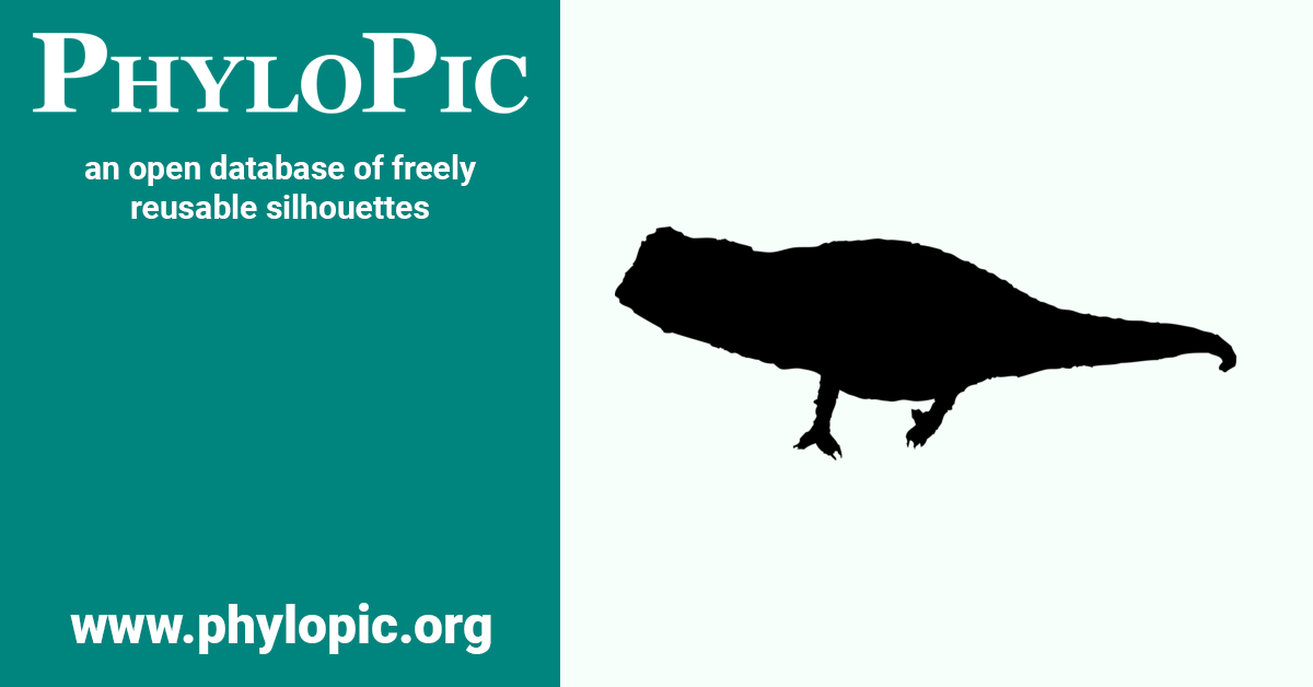 Brookesia micra by T. Michael Keesey (from a photograph by Frank Glaw ...