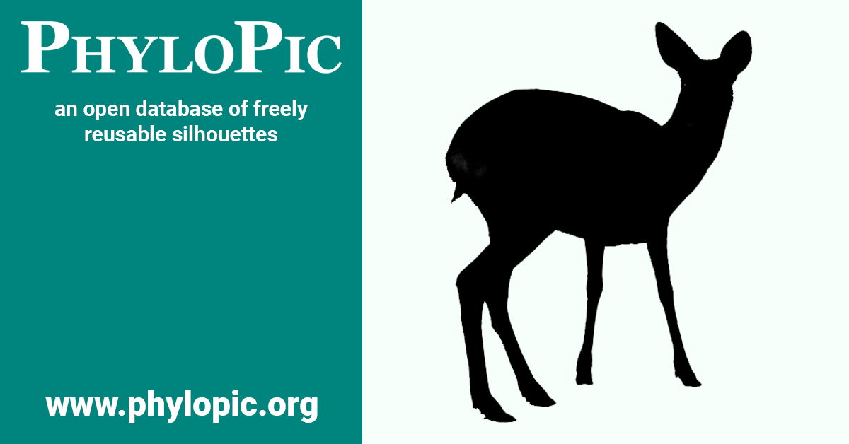 Capreolus pygargus by painting Guo (CC BY 4.0) - PhyloPic