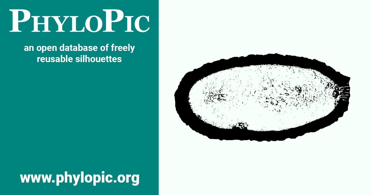 Nucleocytoviricota - PhyloPic