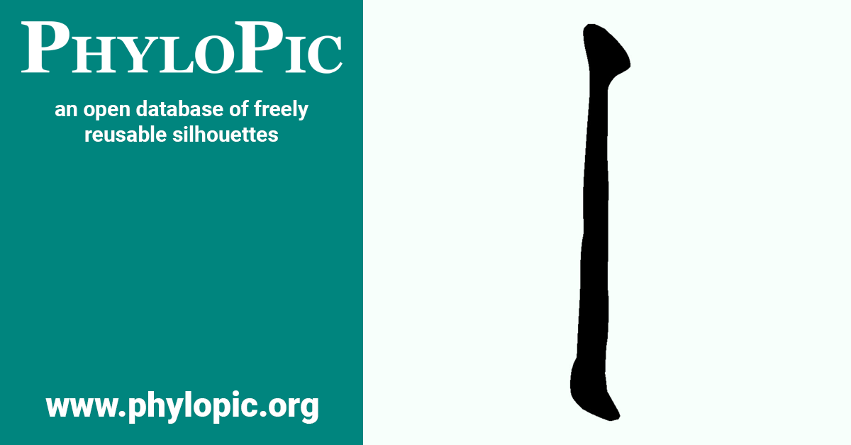 Thermoproteus tenax (CC0 1.0) - PhyloPic