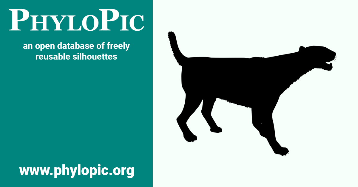 Metailurus major by Zimices (CC BY 3.0) - PhyloPic