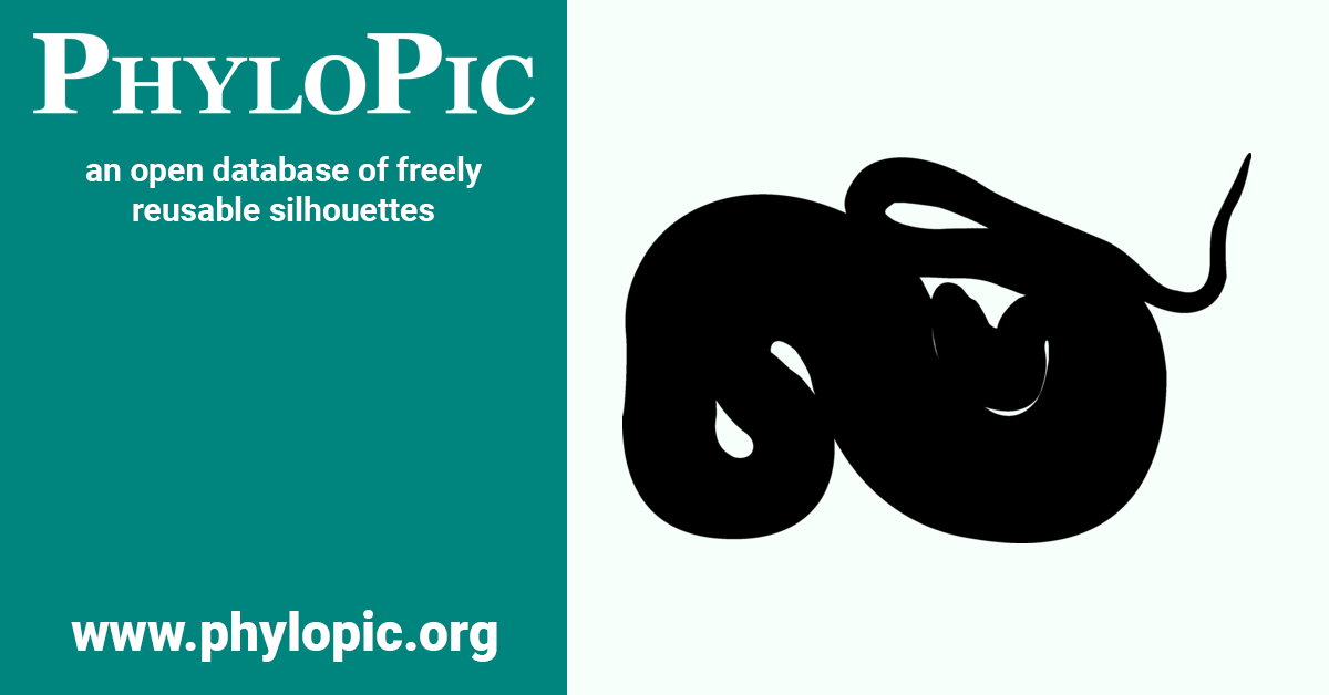 Colubridae - PhyloPic