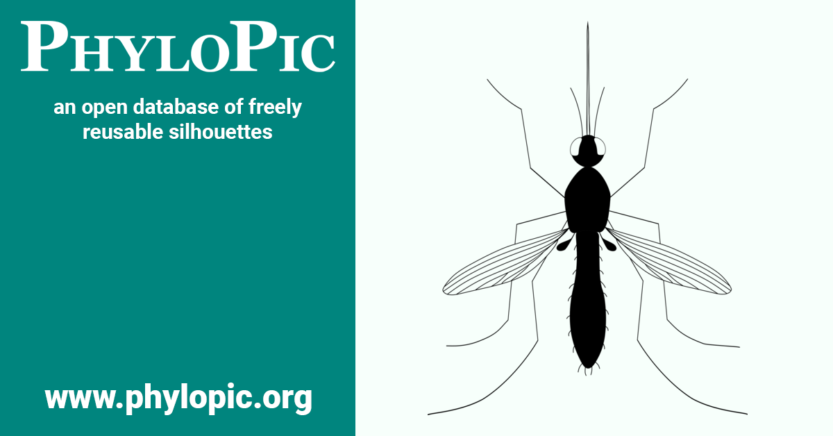 Culicidae by Livio Ruzzante, modified by T. Michael Keesey (CC0 1.0 ...