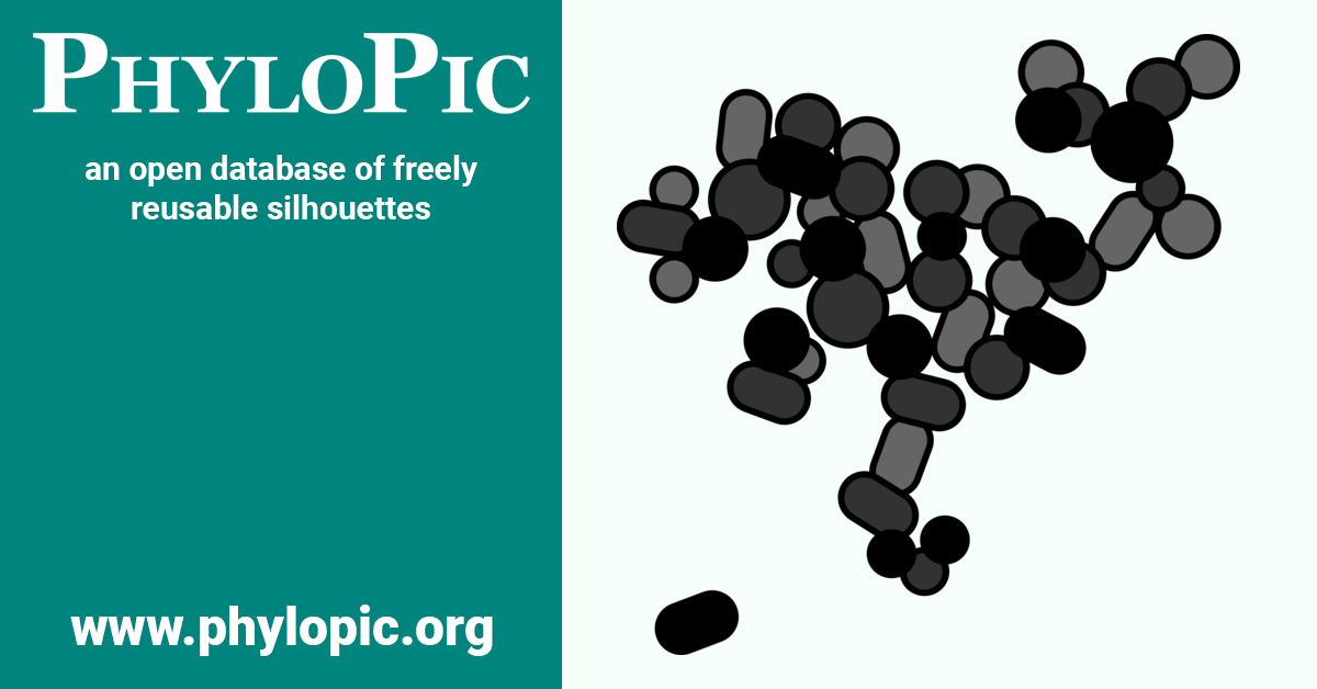 Mycoplasma mycoides by Matt Crook (CC BY-SA 3.0) - PhyloPic