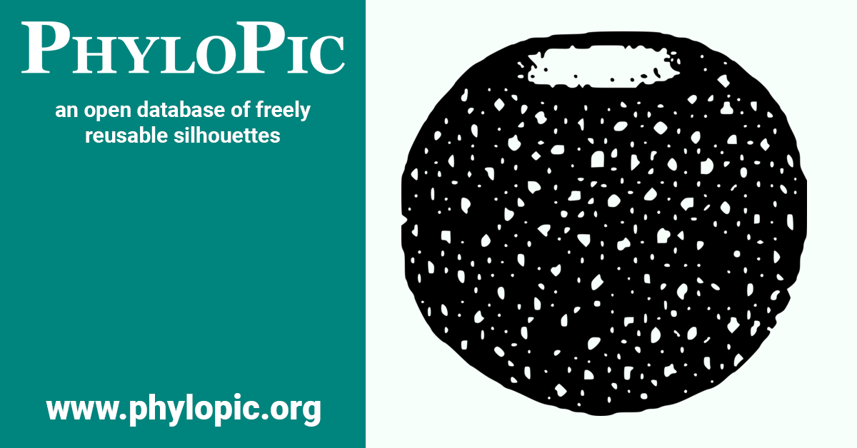 Crumillospongia by Joseph P. Botting, Yuandong Zhang & Lucy A. Muir ...