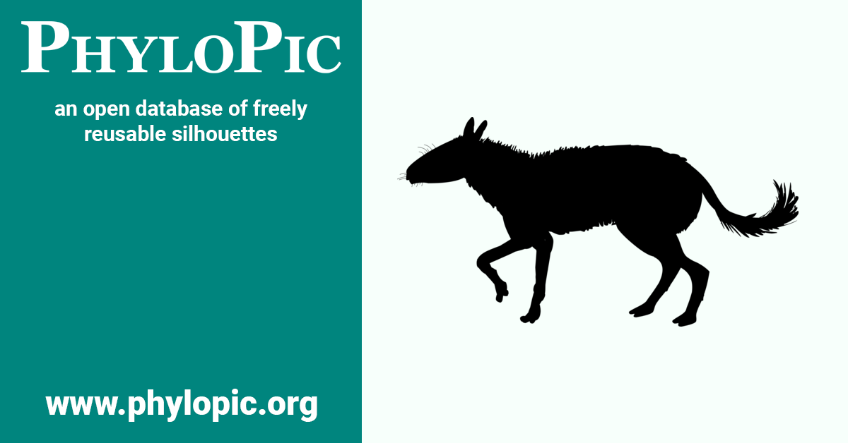 Sifrhippus sandrae - PhyloPic