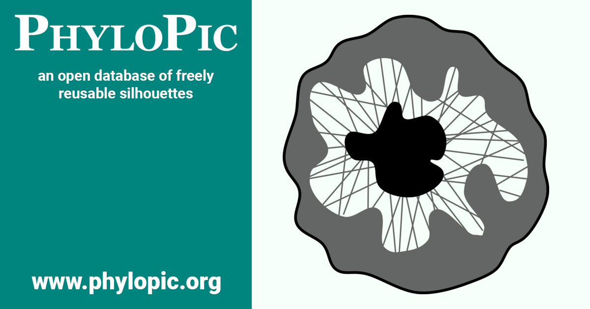 Chlamydia trachomatis by Matt Crook (CC BY-SA 3.0) - PhyloPic