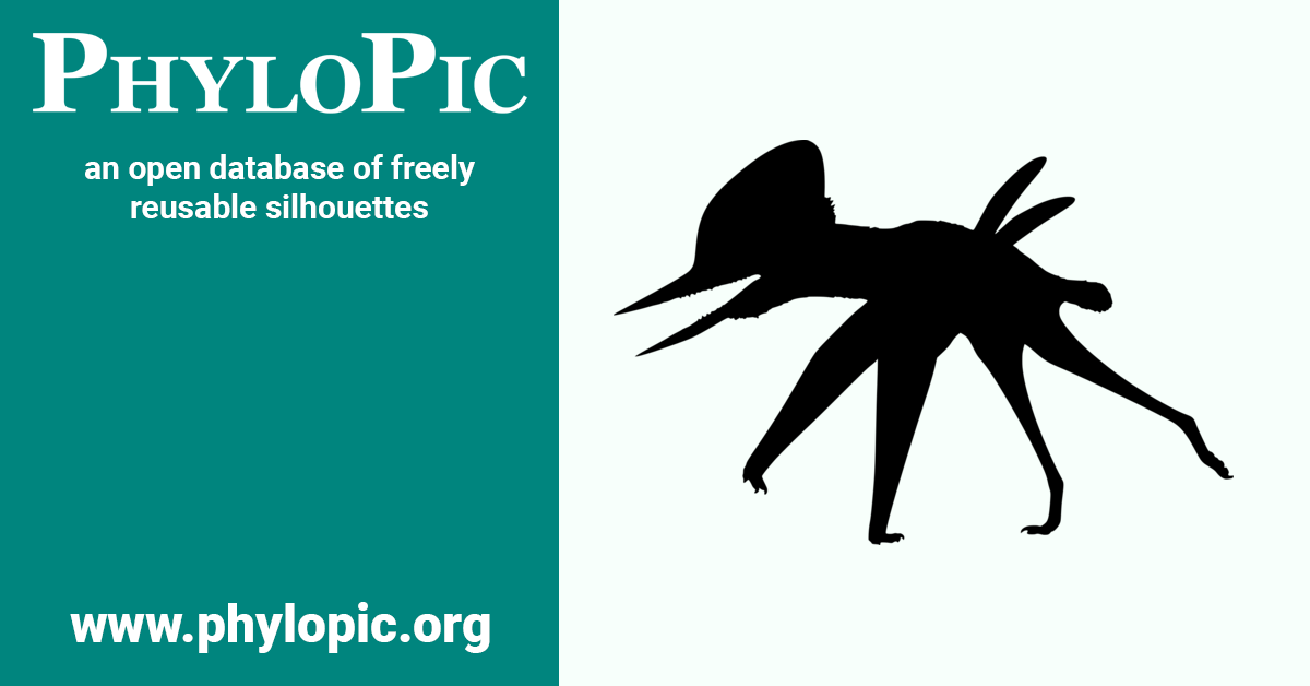 Noripterus complicidens by Nix Illustration (CC BY-NC 3.0) - PhyloPic