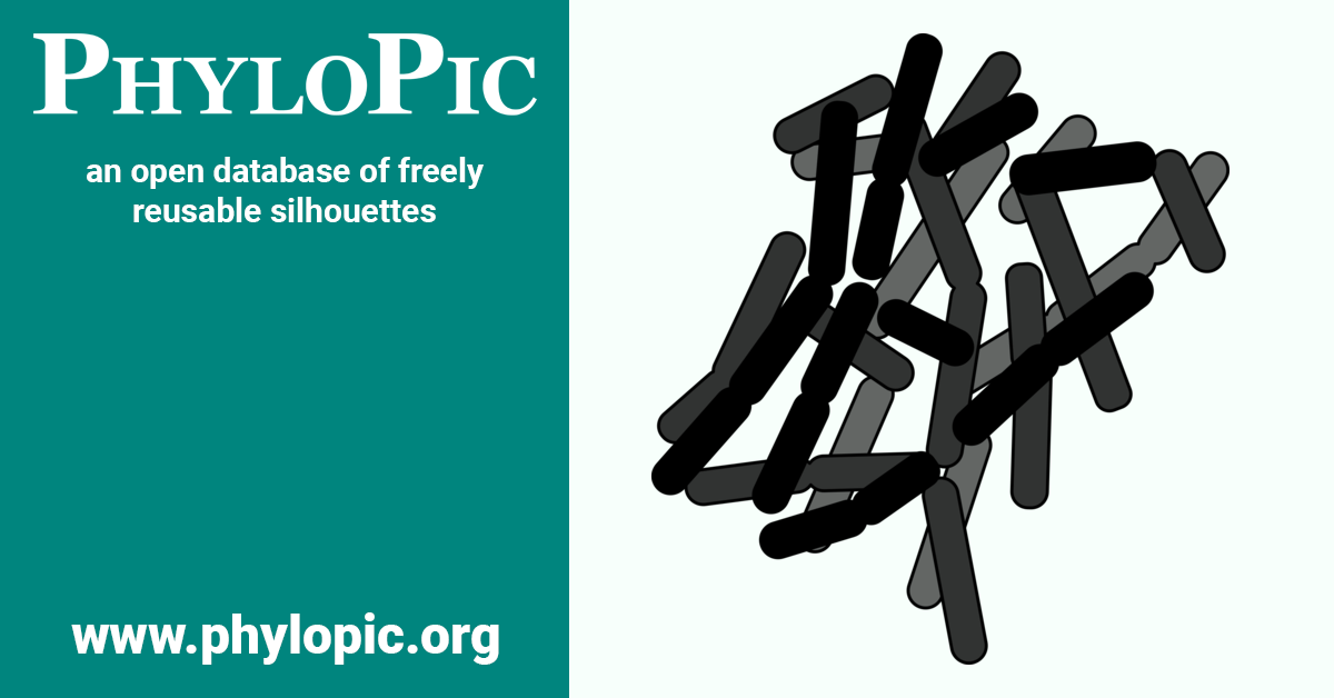 Flavobacterium aquatile by Matt Crook (CC BY-SA 3.0) - PhyloPic