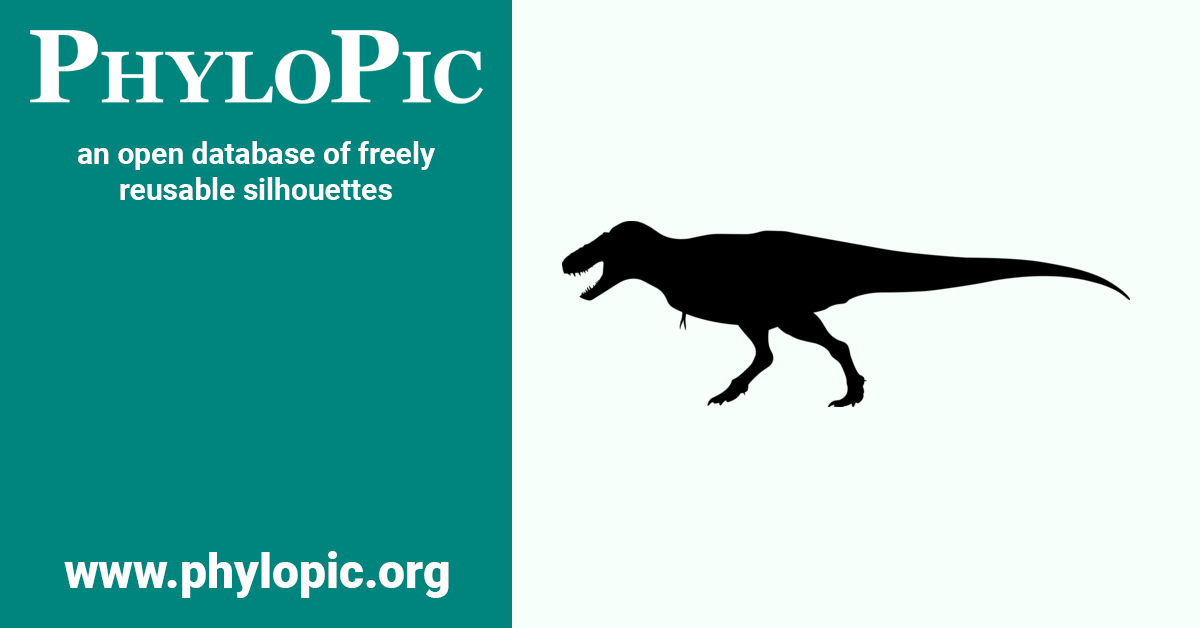 Tyrannosaurus rex by Matt Dempsey (CC BY 4.0) - PhyloPic