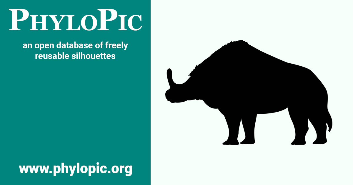 Megacerops coloradensis by Michael Tripoli (CC BY 4.0) - PhyloPic