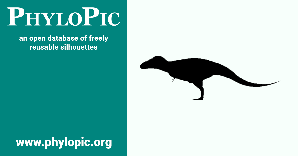 Tyrannosaurus bataar - PhyloPic