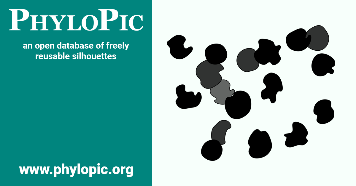 Acholeplasma laidlawii by Matt Crook (CC BY-SA 3.0) - PhyloPic