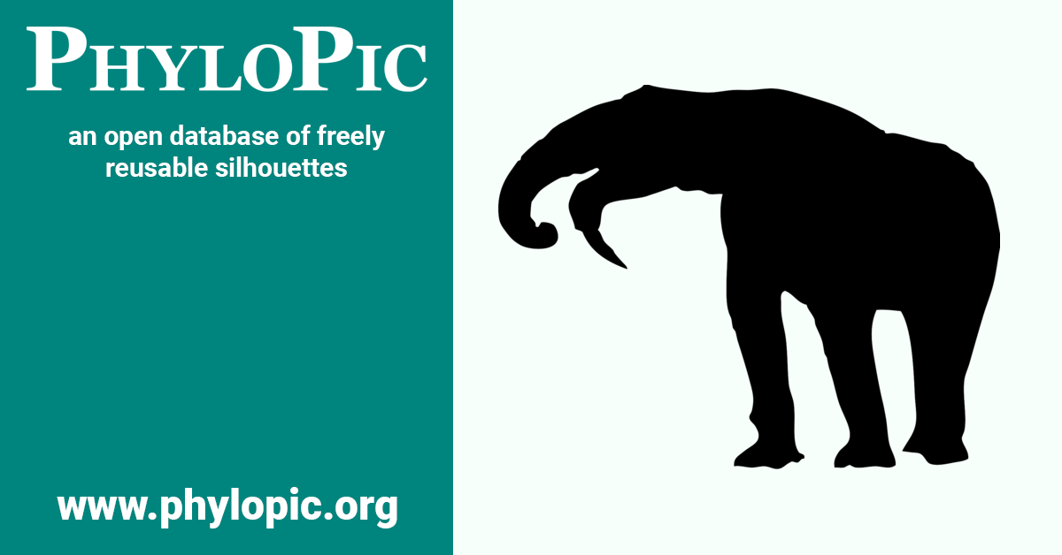 Prodeinotherium bavaricum by Steven Traver (CC0 1.0) - PhyloPic
