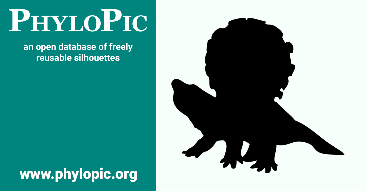 Platyhystrix rugosus - PhyloPic