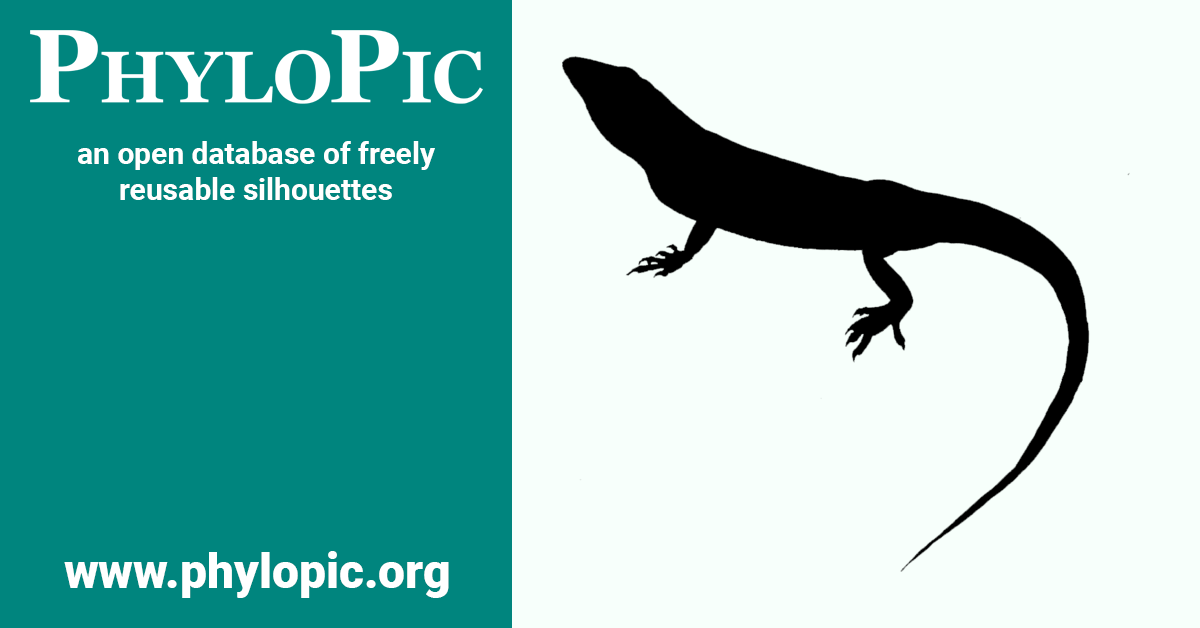 Varanopidae - PhyloPic