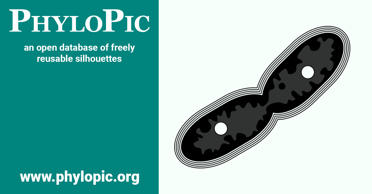 Nitrosomonas europaea by Matt Crook (CC BY-SA 3.0) - PhyloPic