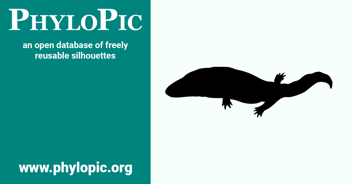 Paracyclotosaurus davidi by Dmitry Bogdanov (vectorized by T. Michael ...