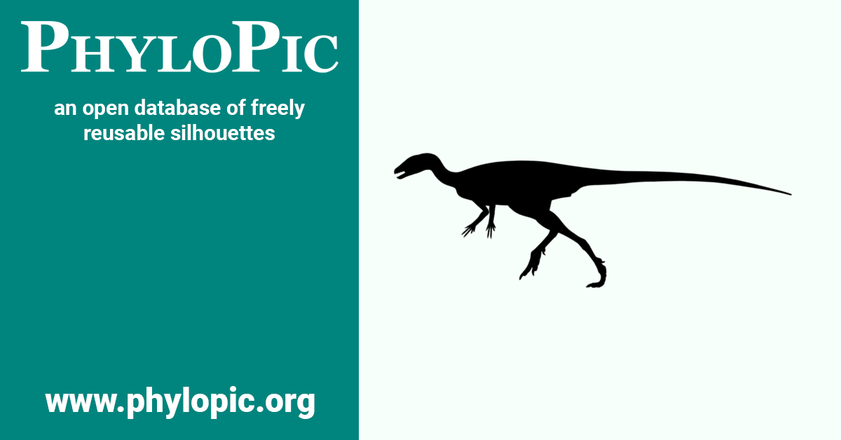 Eocursor parvus by Scott Hartman (CC BY-NC-SA 3.0) - PhyloPic