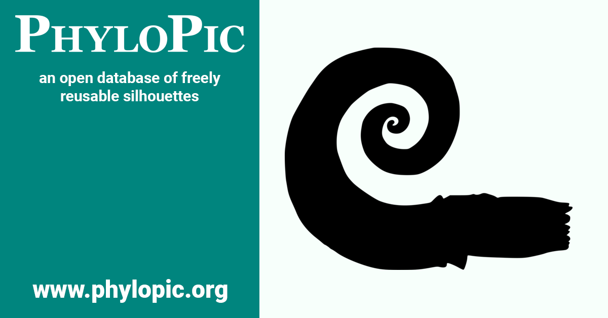 Aphetoceras americanum by Apokryltaros (CC BY-SA 3.0) - PhyloPic