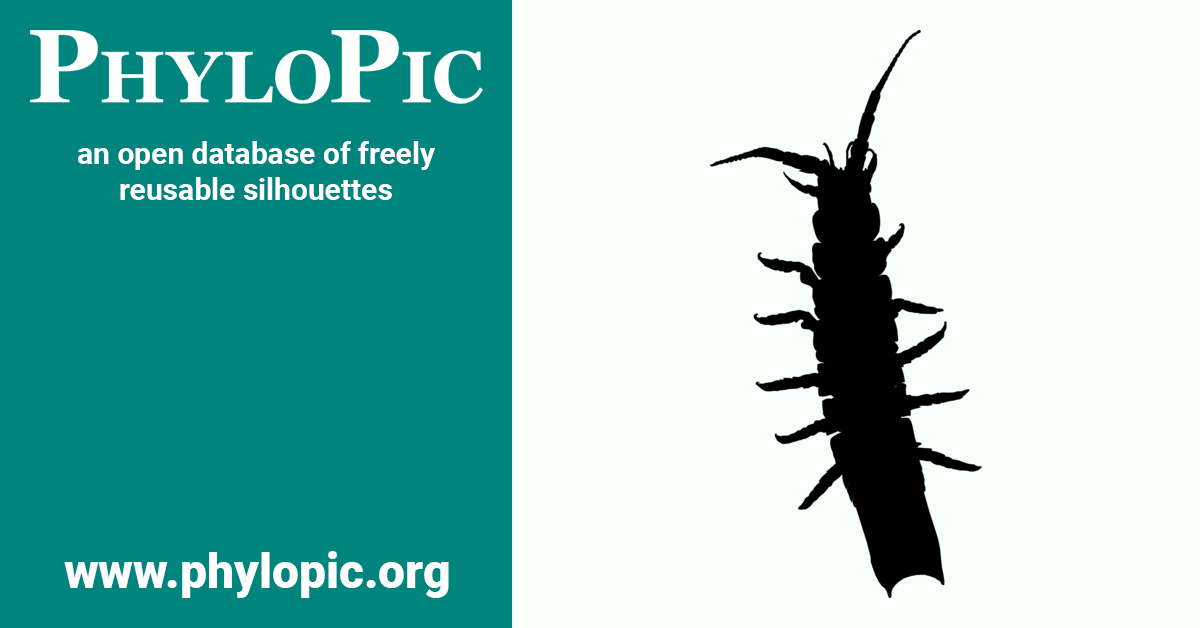 Isopoda - PhyloPic