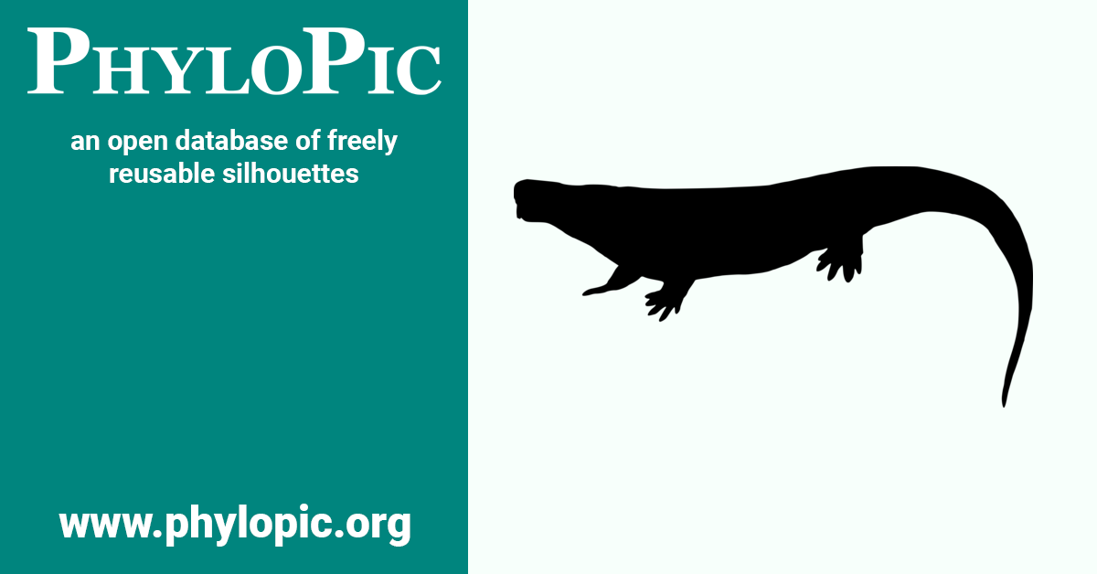 Limnoscelis paludis by Dmitri Bogdanov (CC BY-SA 3.0) - PhyloPic