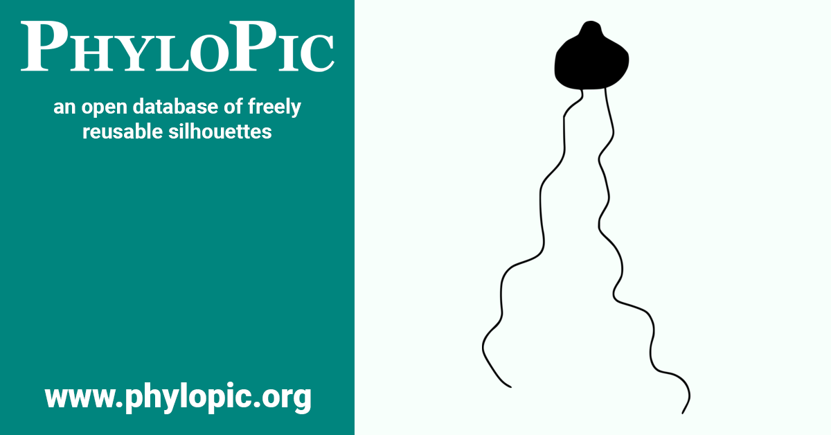 Archaeoglobus veneficus (CC0 1.0) - PhyloPic