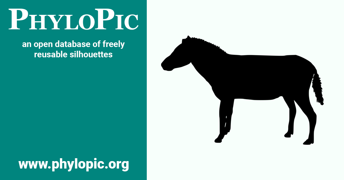 Hippotherium primigenium by Zimices (CC BY 3.0) - PhyloPic