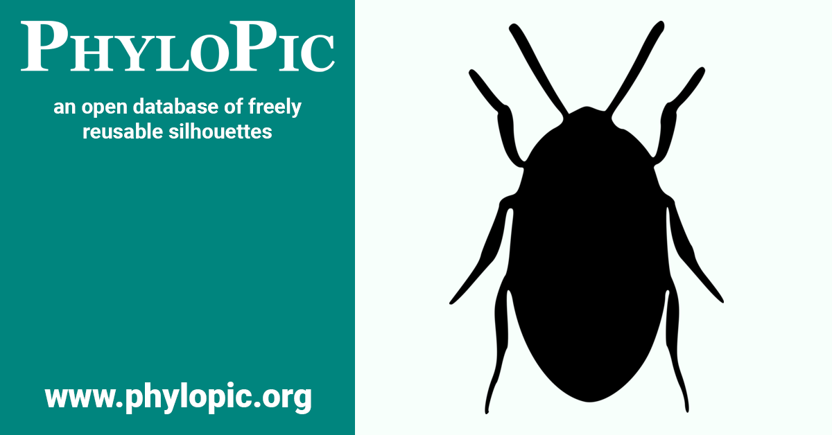 Archeocrypticus by Tree of Life App (CC BY 4.0) - PhyloPic