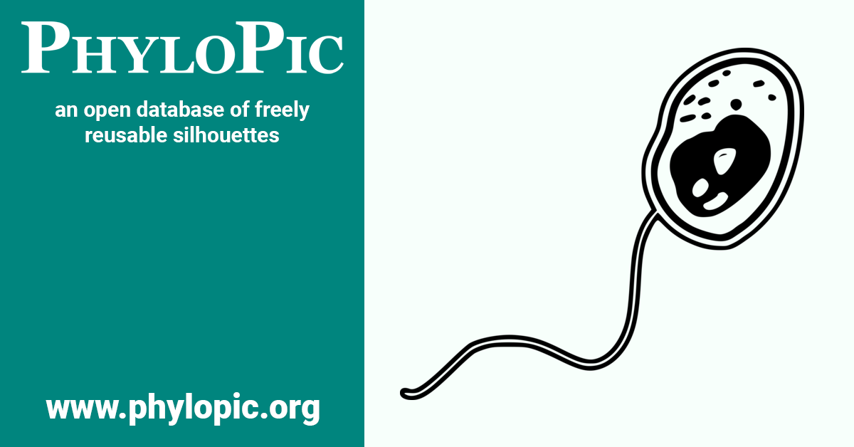 Chlorarachniophyta (CC0 1.0) - PhyloPic