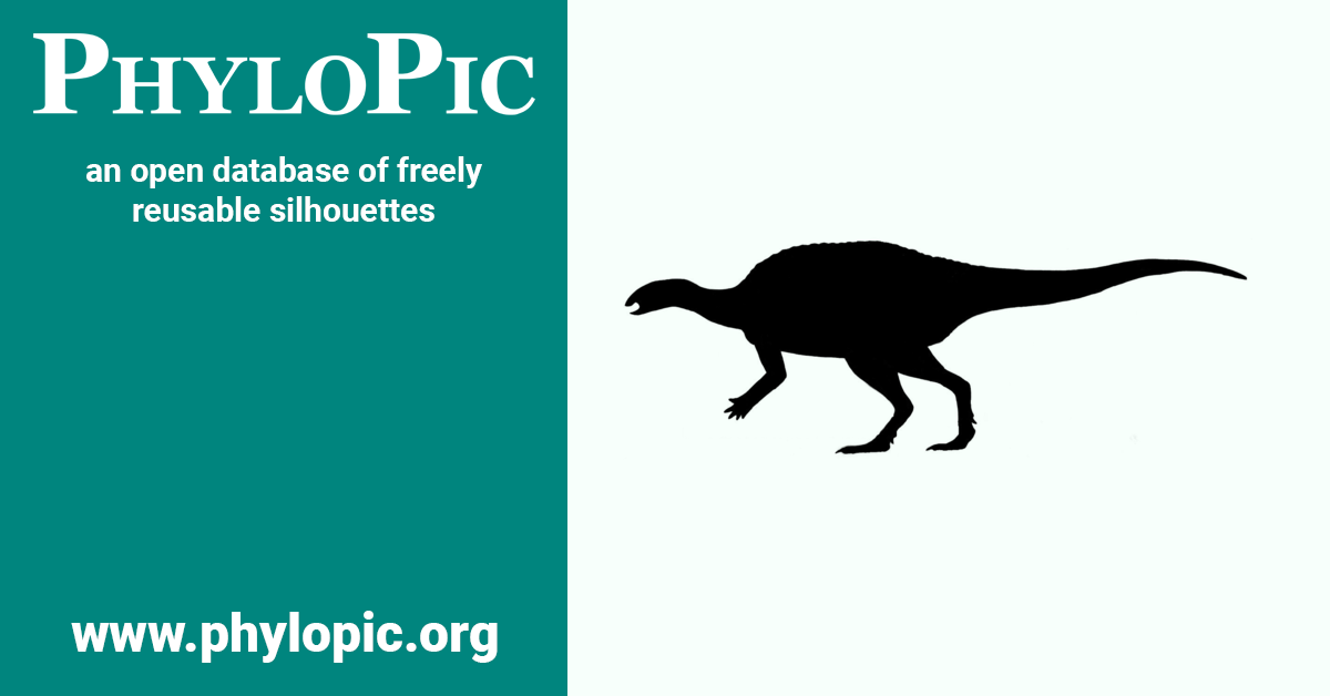 Planicoxa venenica by Pete Buchholz (CC BY-SA 3.0) - PhyloPic