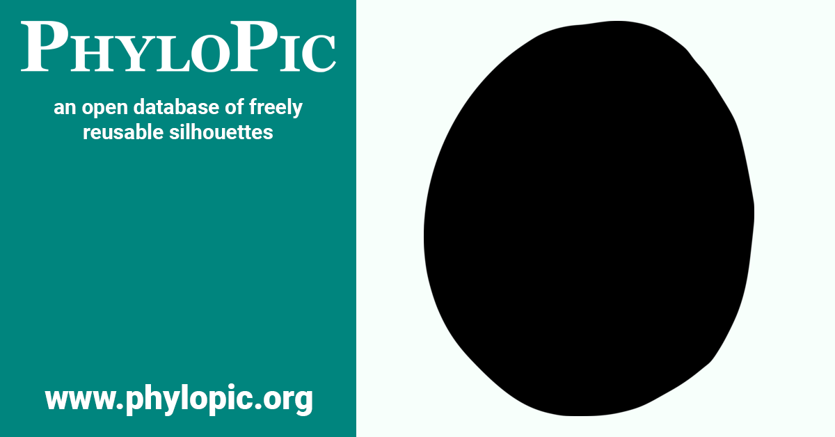 Bathycoccus prasinos (CC0 1.0) - PhyloPic