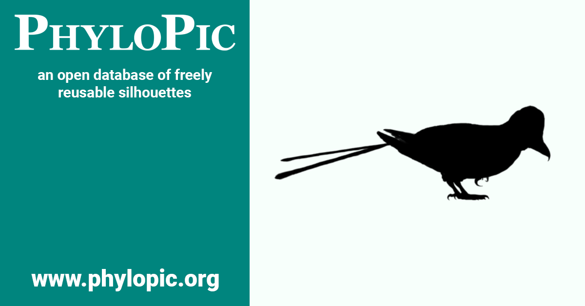 Pygostylia - PhyloPic